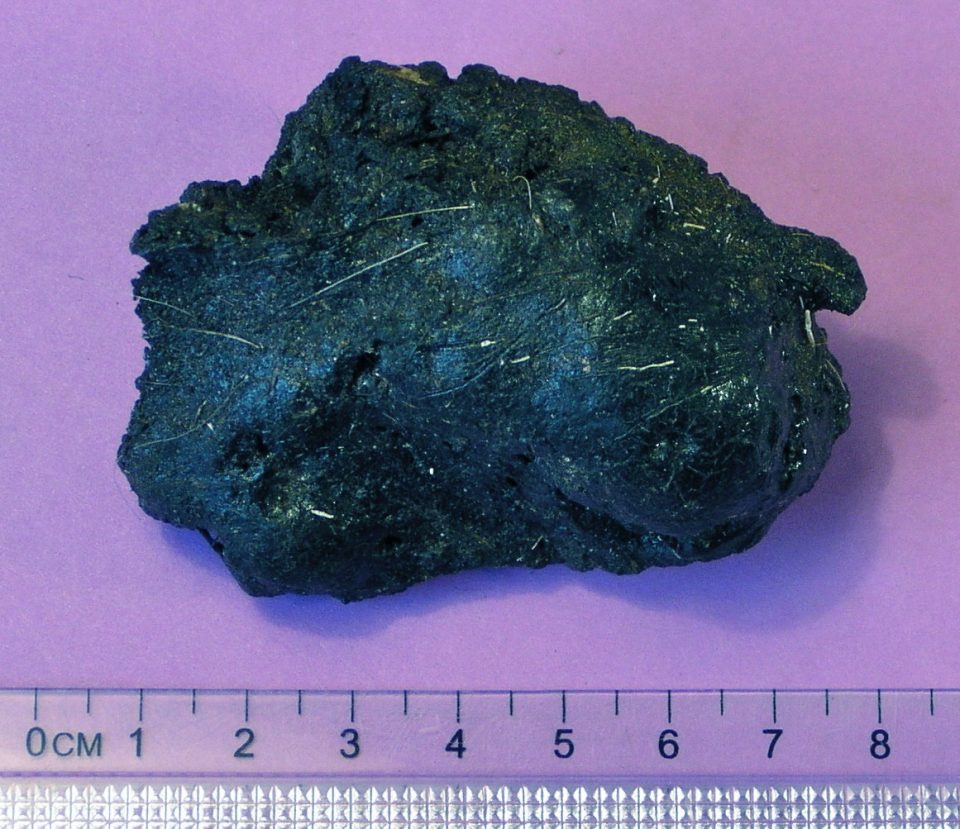 Shilajit: a remedy for all times