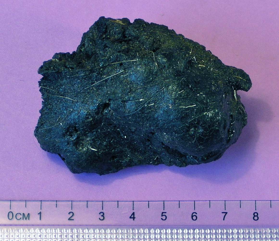 Shilajit: a remedy for all times