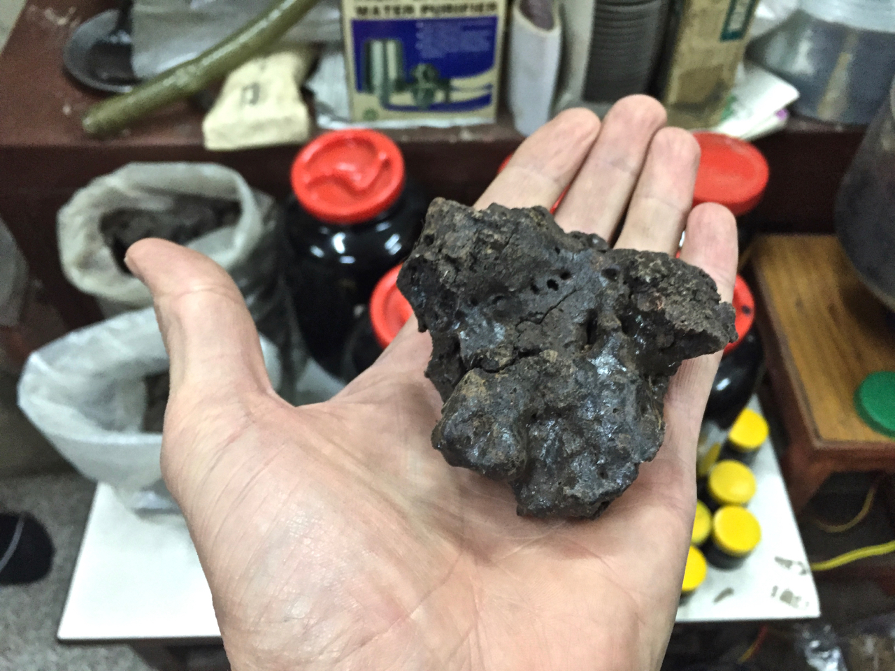 Shilajit: a remedy for all times